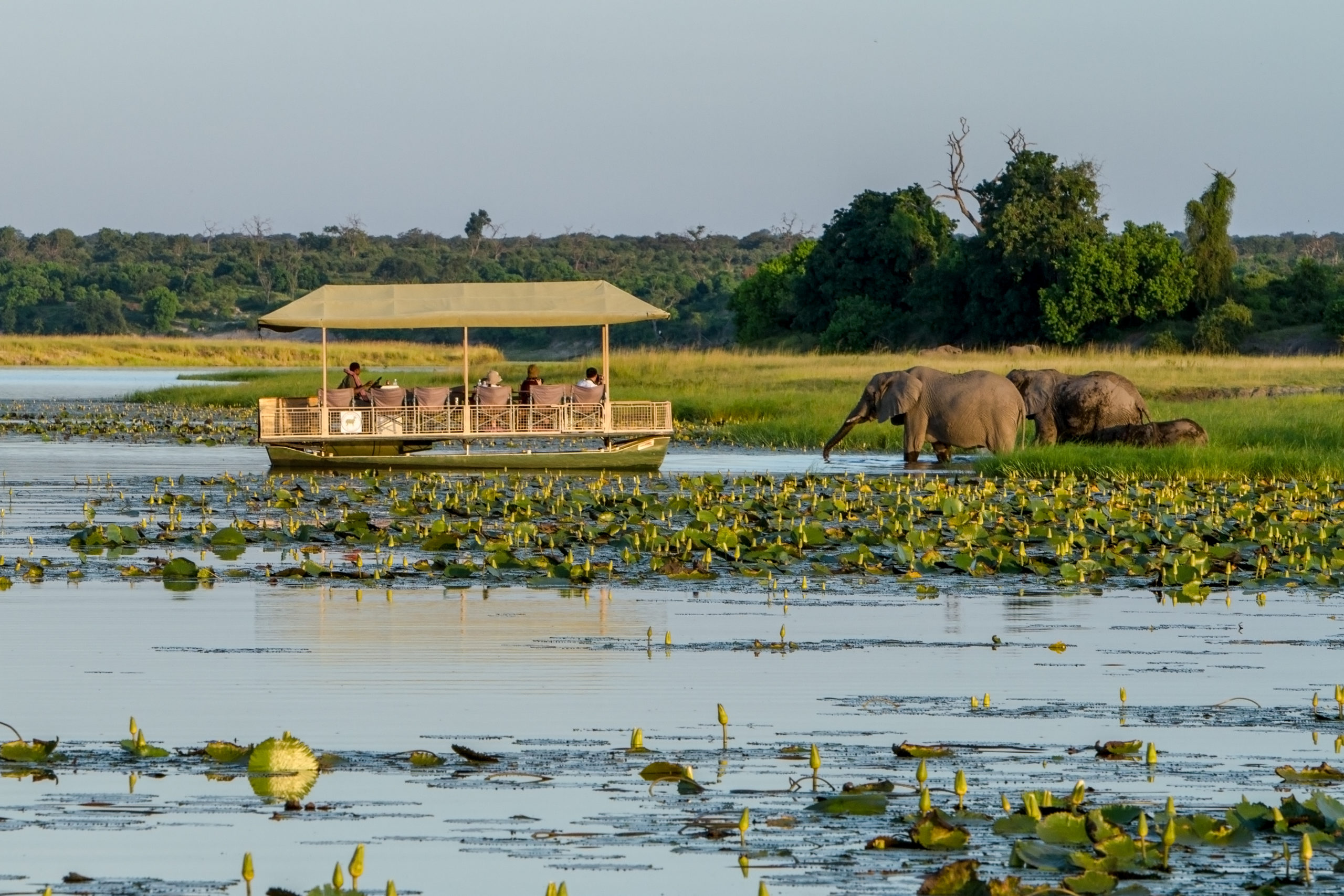 Caprivi Strip | Africa by Design